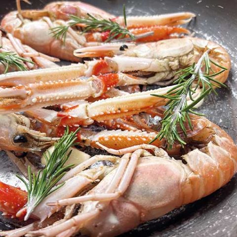 Pizza Squizz - Pizza Squizz