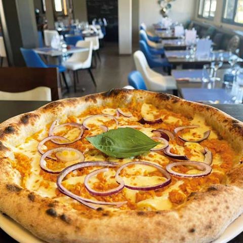 Pizza Squizz - Pizza Squizz